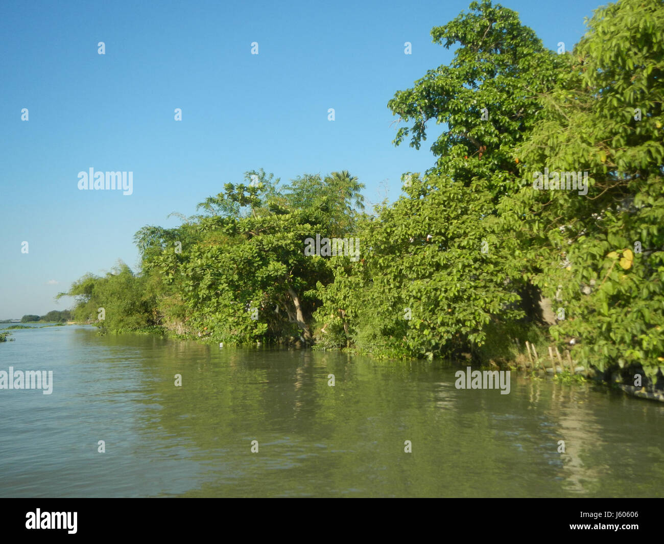 The image features the riverbanks along the Meyto Santa Lucia and ...