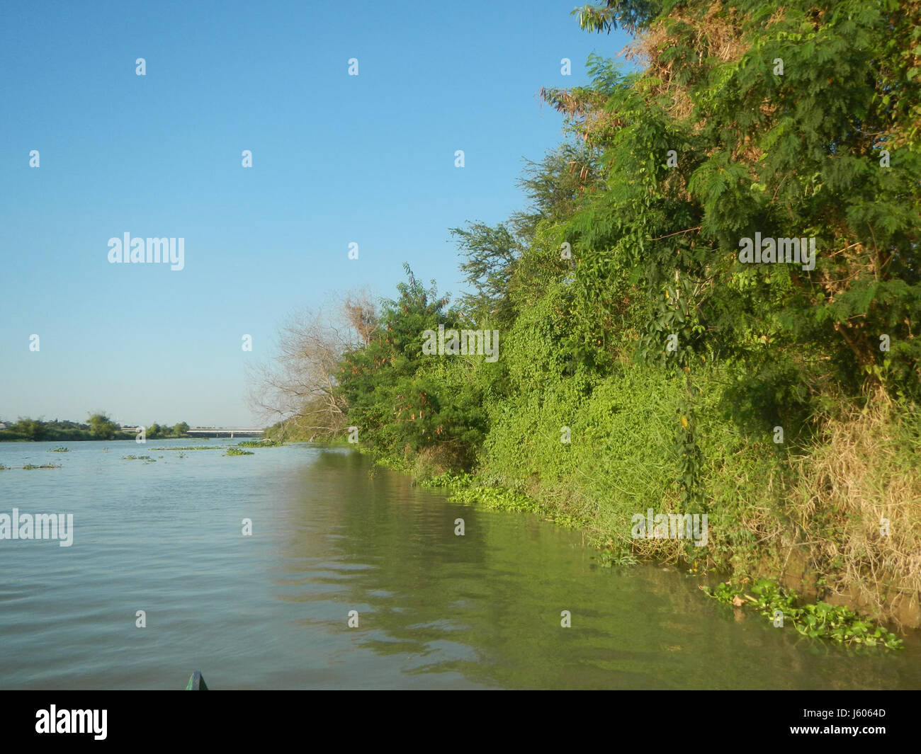 The title refers to a view of the riverbanks in Bulacan, Philippines ...