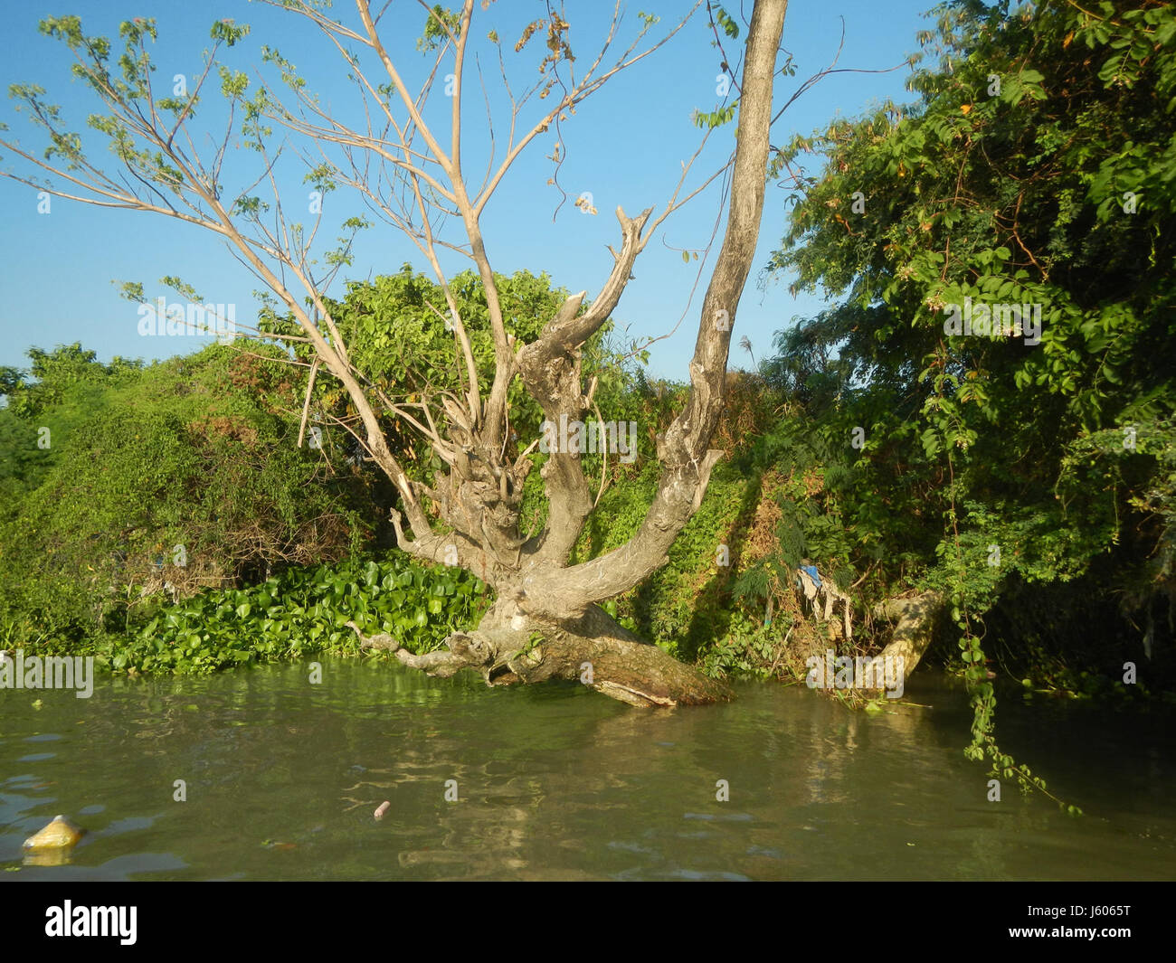 This image features the riverbanks of Santa Lucia in Bulusan ...