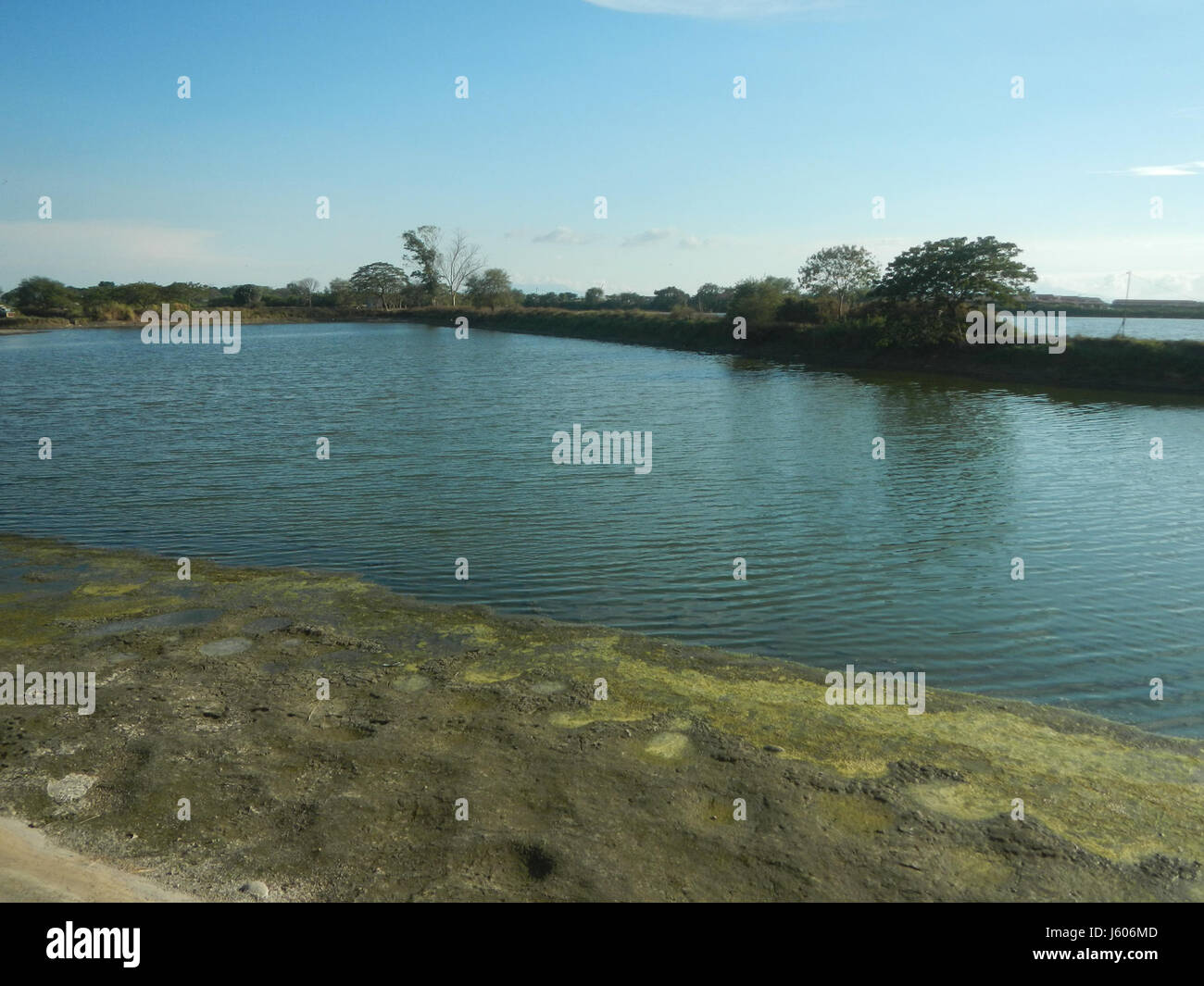 0051 San Bartolome Culcul Santo Tomas, Pampanga Roads Farms 26 Stock ...