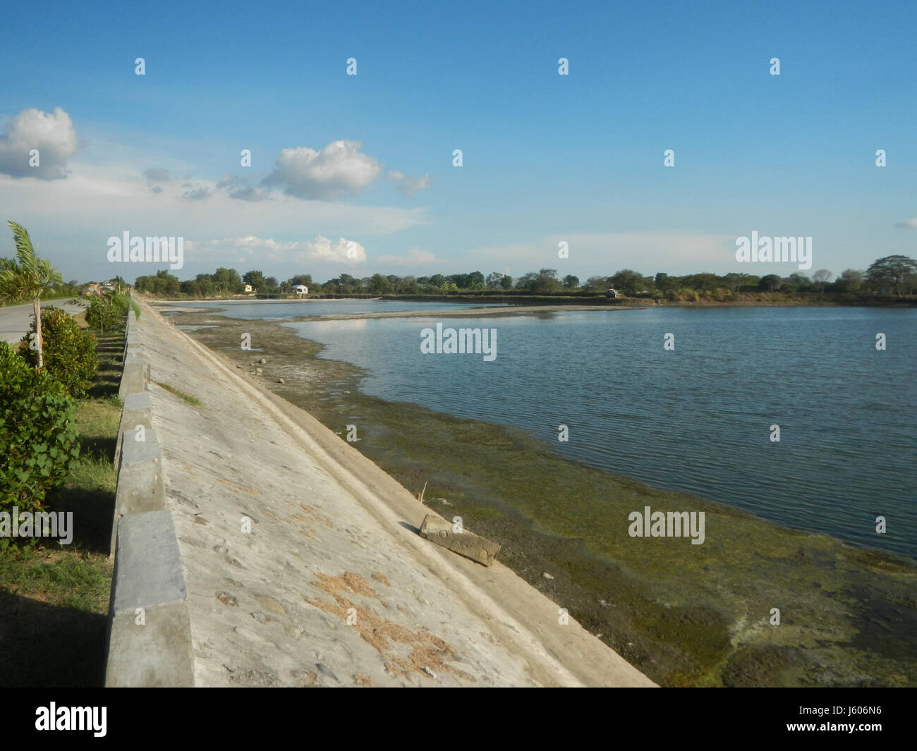 0051 San Bartolome Culcul Santo Tomas, Pampanga Roads Farms 46 Stock ...