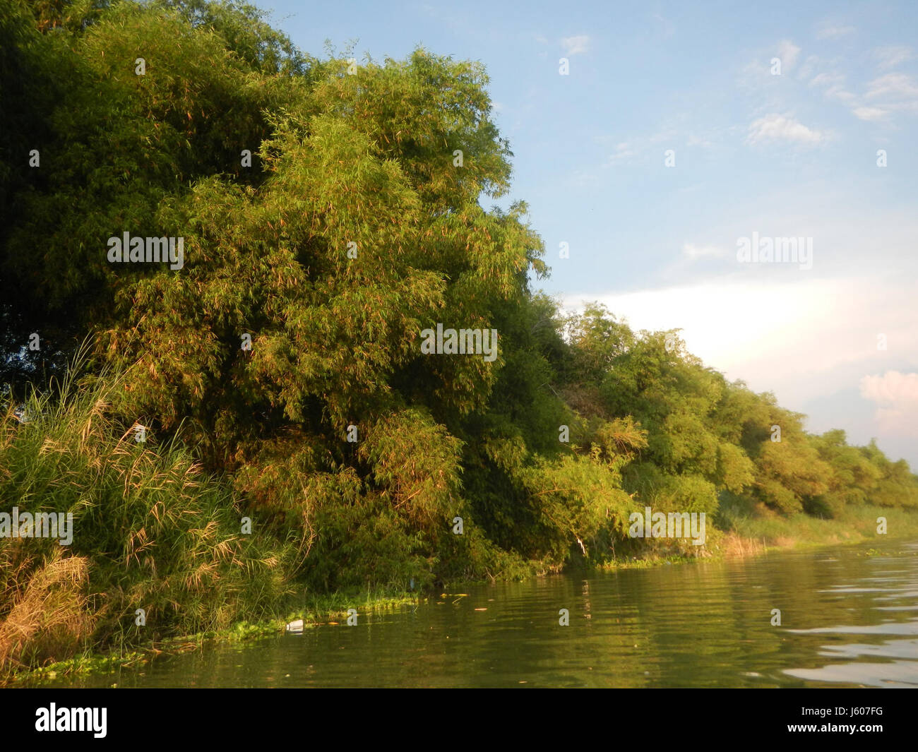 This image highlights the San Juan Santa Cruz Pambilog River Districts ...