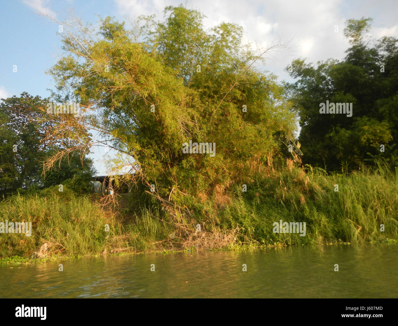 This image depicts the San Juan, Santa Cruz, and Pambilog areas along ...