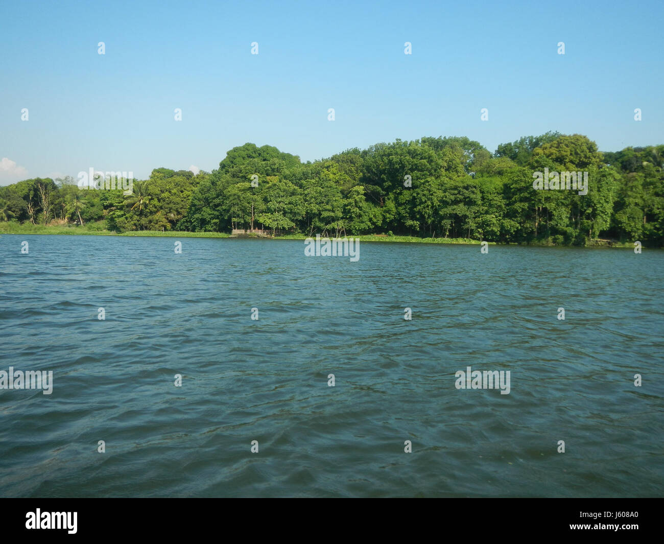 A rural photo taken in Pulilan, Plaridel, Bulacan, Philippines, showing ...