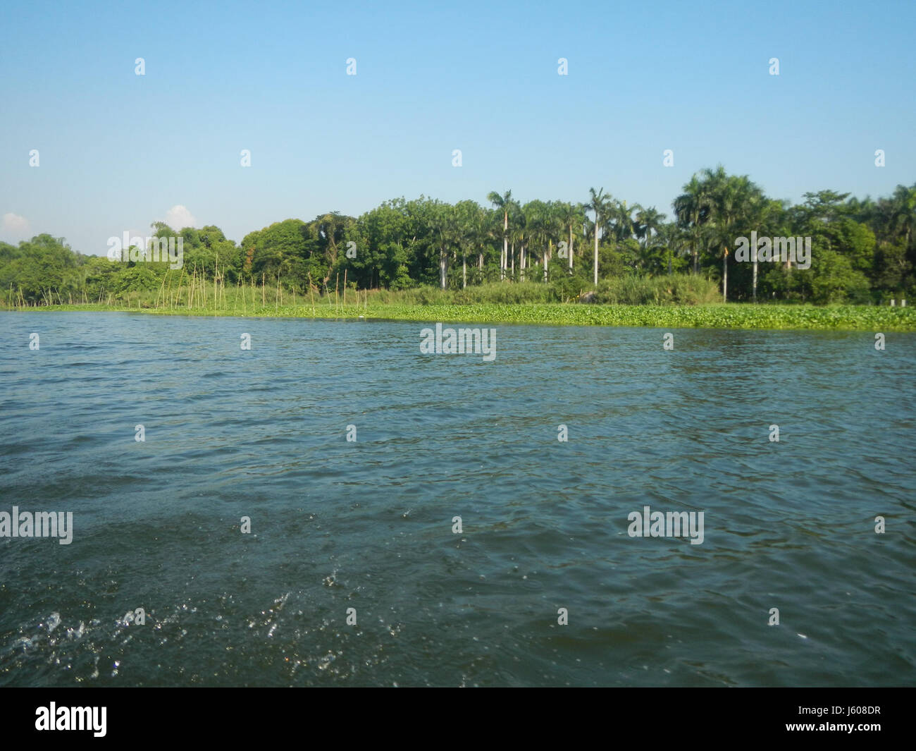 This image captures the scenic landscape of Pulilan and Plaridel in ...