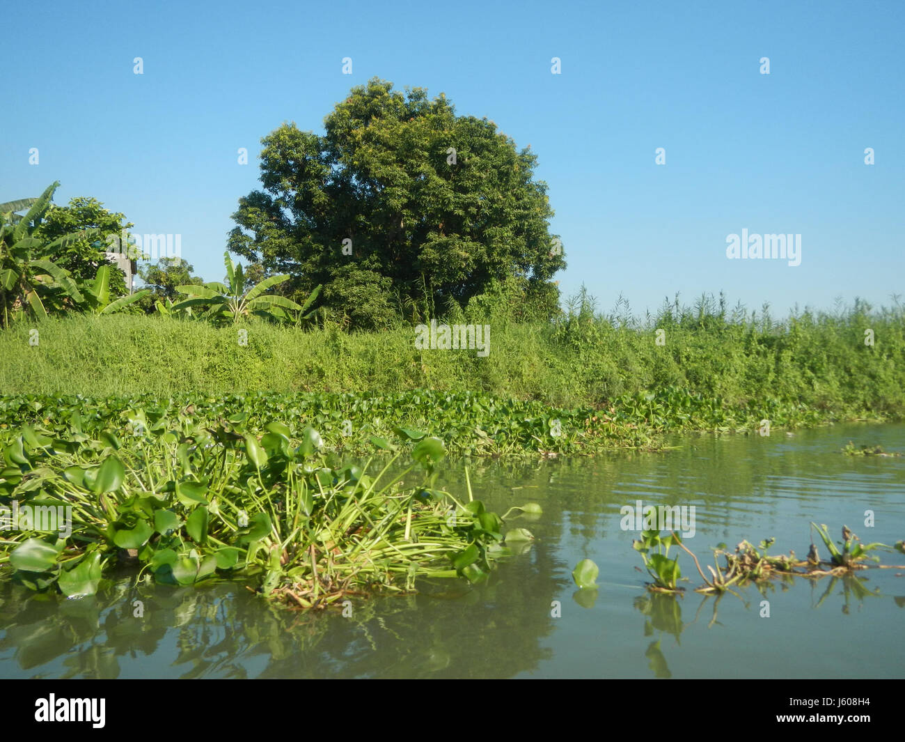 The image shows the riverbanks and riprap constructions in Pulilan ...