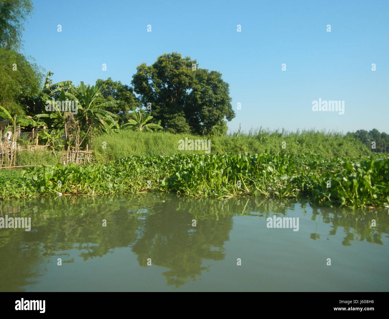 Pulilan and Plaridel in Bulacan highlight rural landscapes, riverbank ...