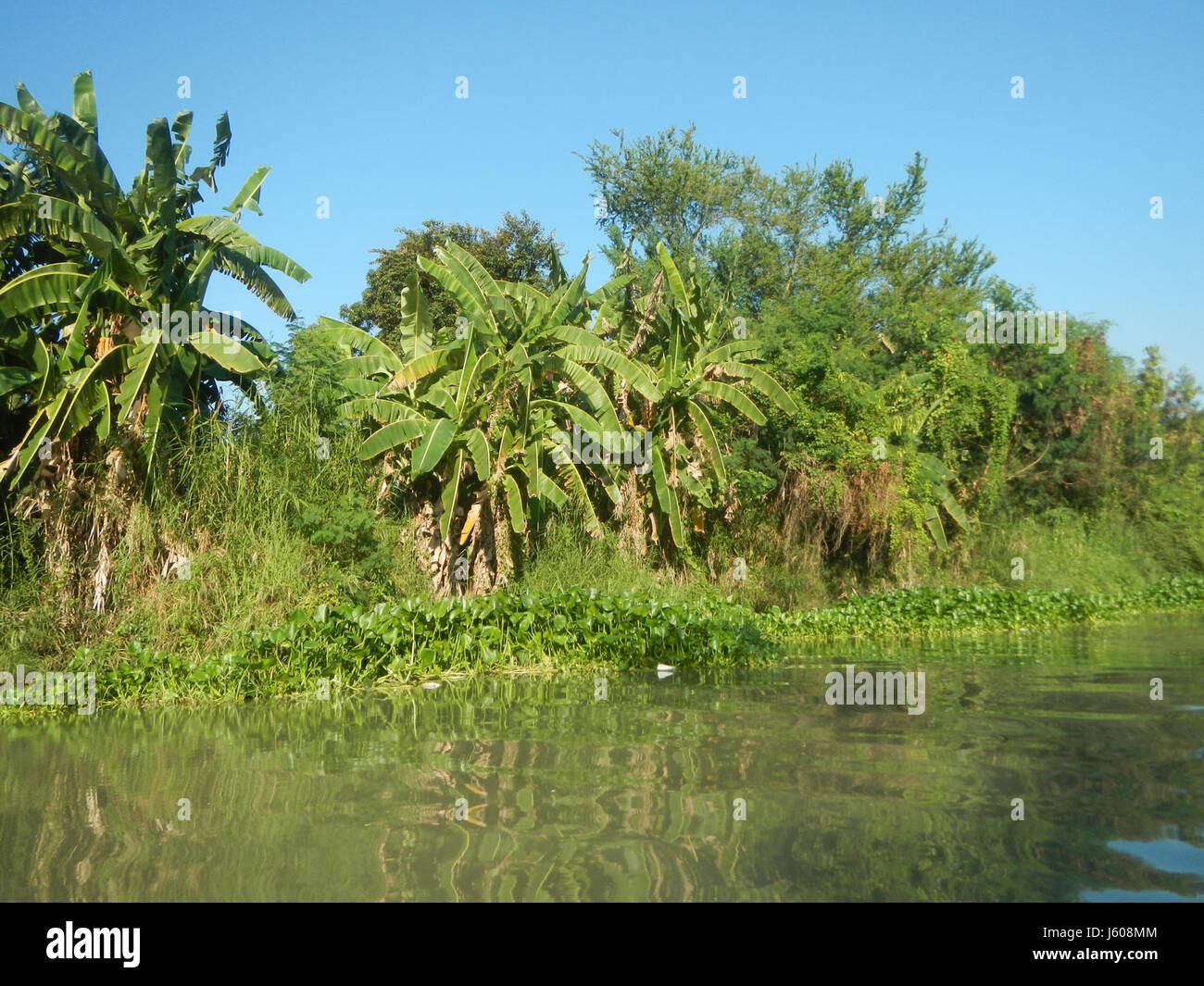 This image showcases the river districts and scenic landscapes in ...