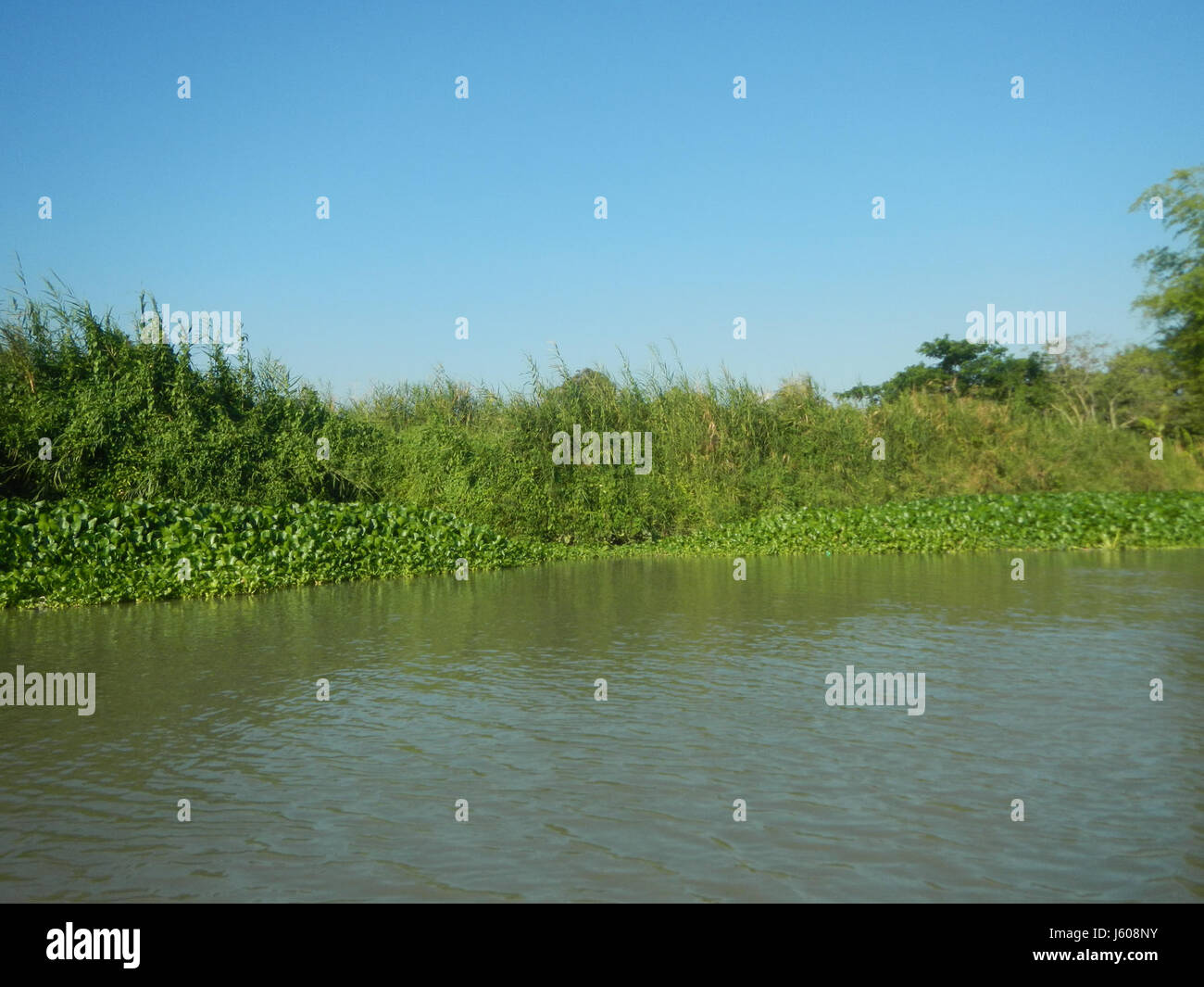 This image captures the scenic view of the riverside districts along ...
