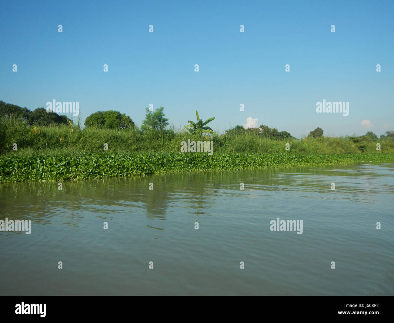 The riverside districts of Calumpit, Bulacan, and Apalit, Pampanga, are ...