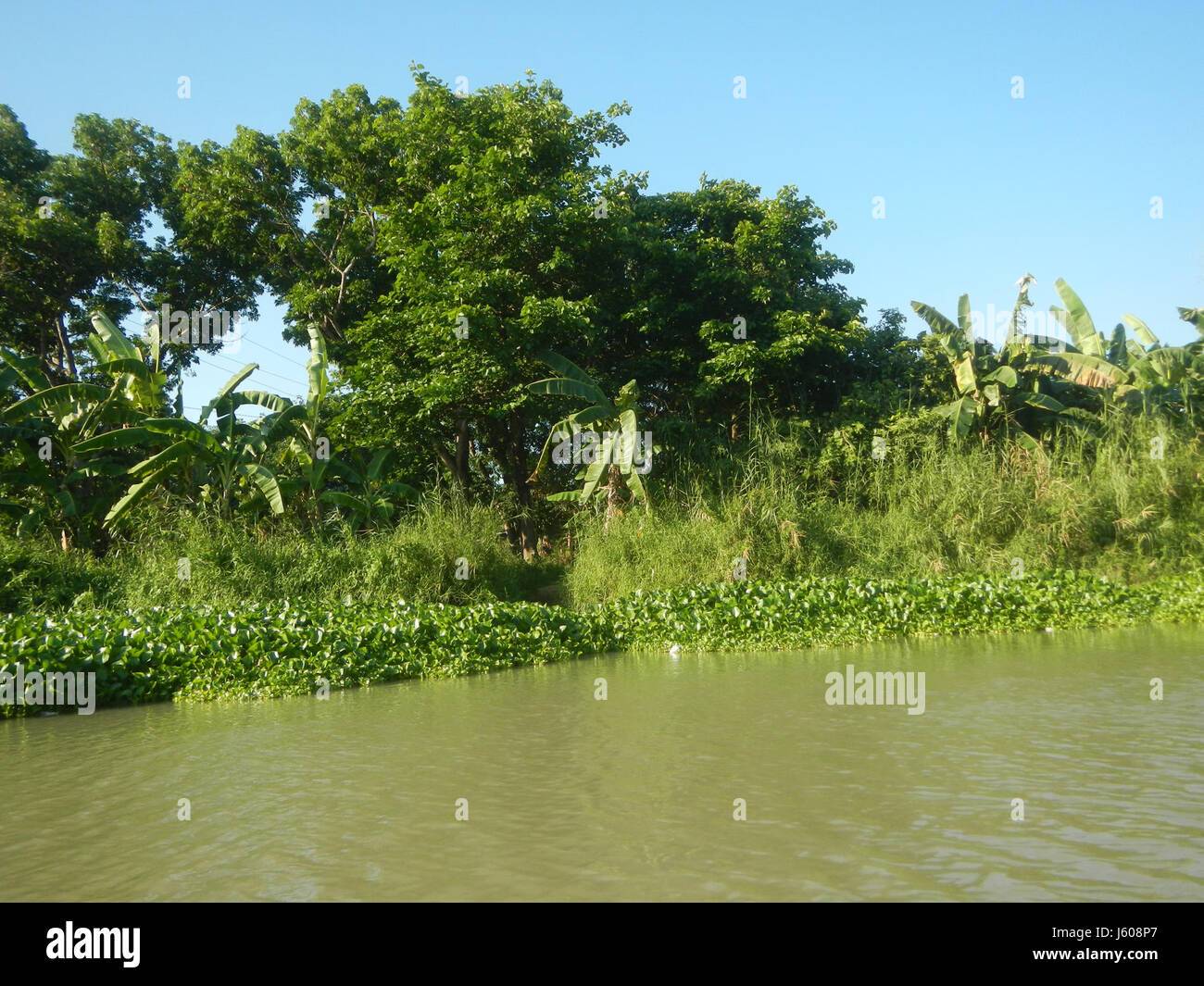 This photograph depicts the riverside districts under a clear blue sky ...