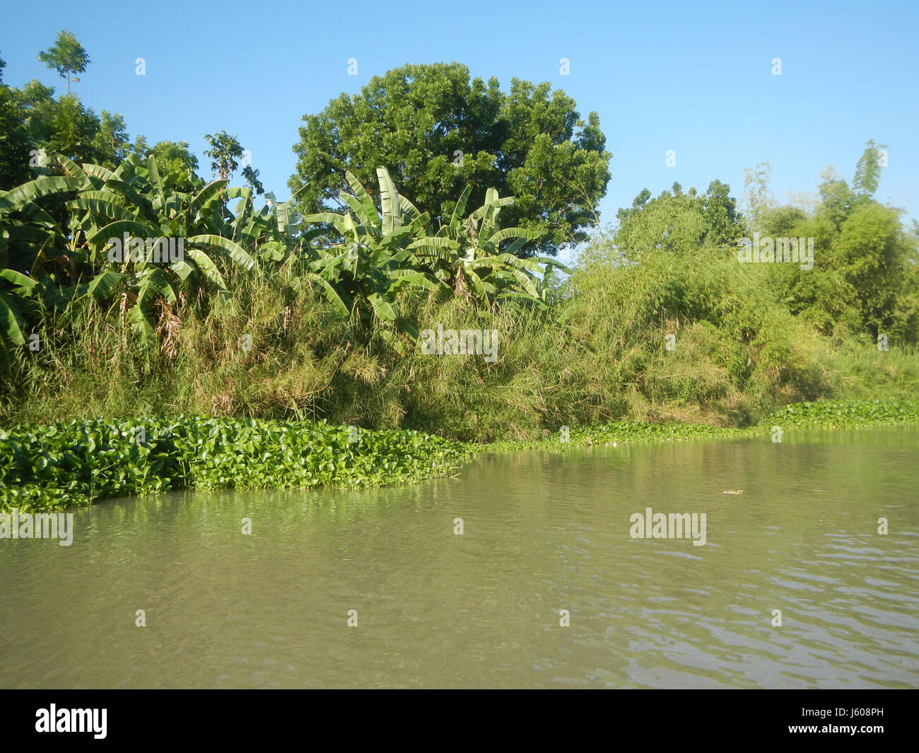 The Riverside Districts of Calumpit, Bulacan, and Apalit, Pampanga, are ...