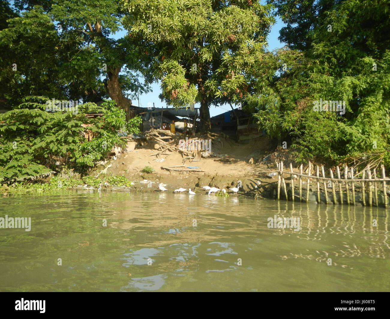 The riverbanks along the Calumpit River in Pulilan, Plaridel, Bulacan ...