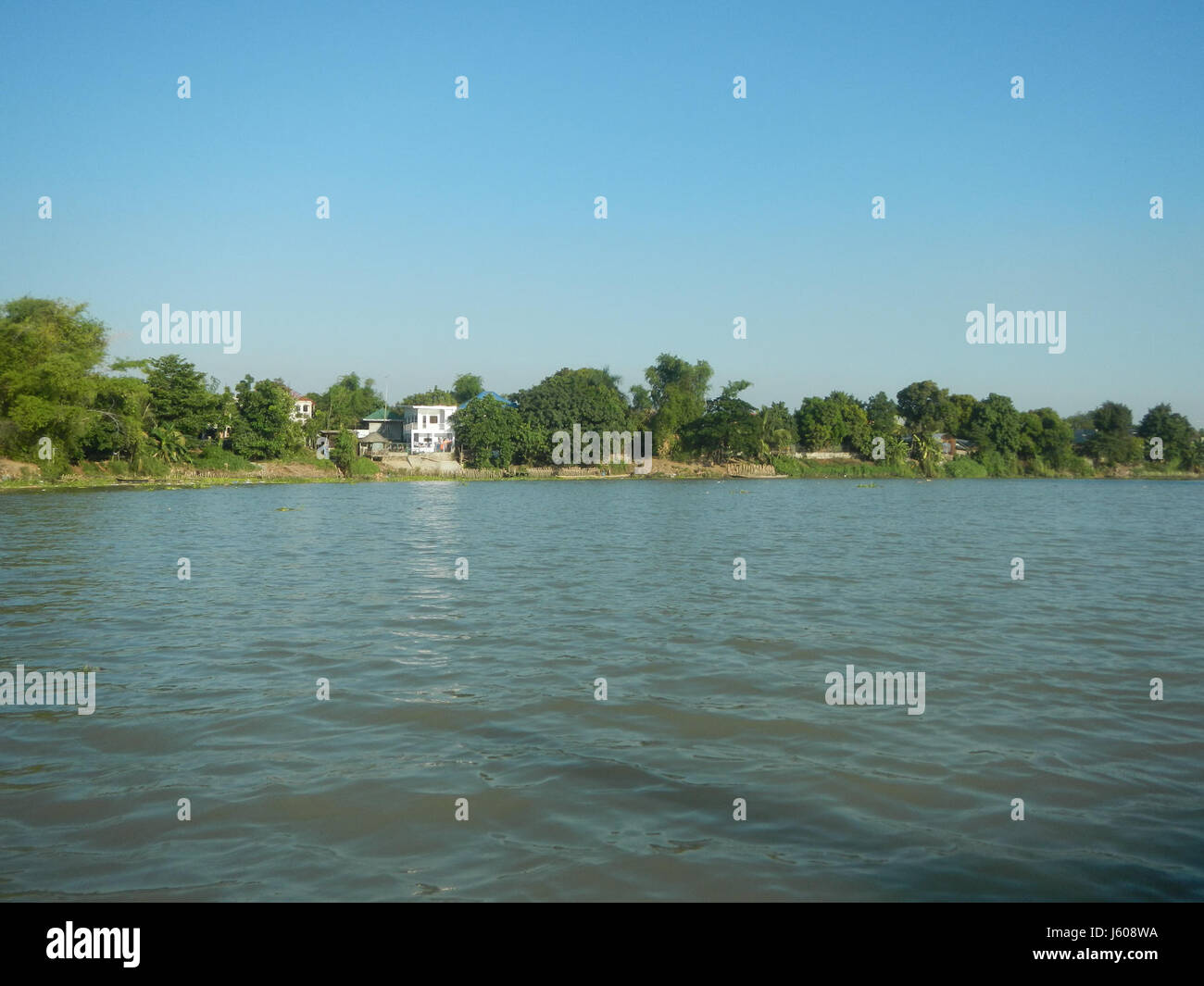 Photograph of the riverbanks along the Pampanga River, capturing the ...