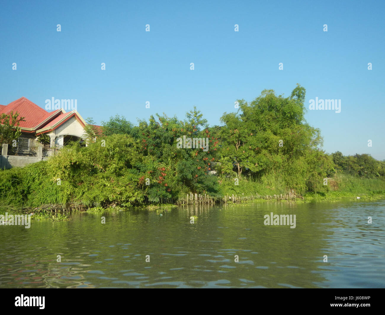 This image captures the riverbanks of the Pampanga River near Pulilan ...