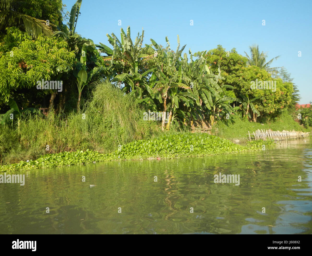 The riverbanks of the Pampanga River in the regions of Pulilan ...