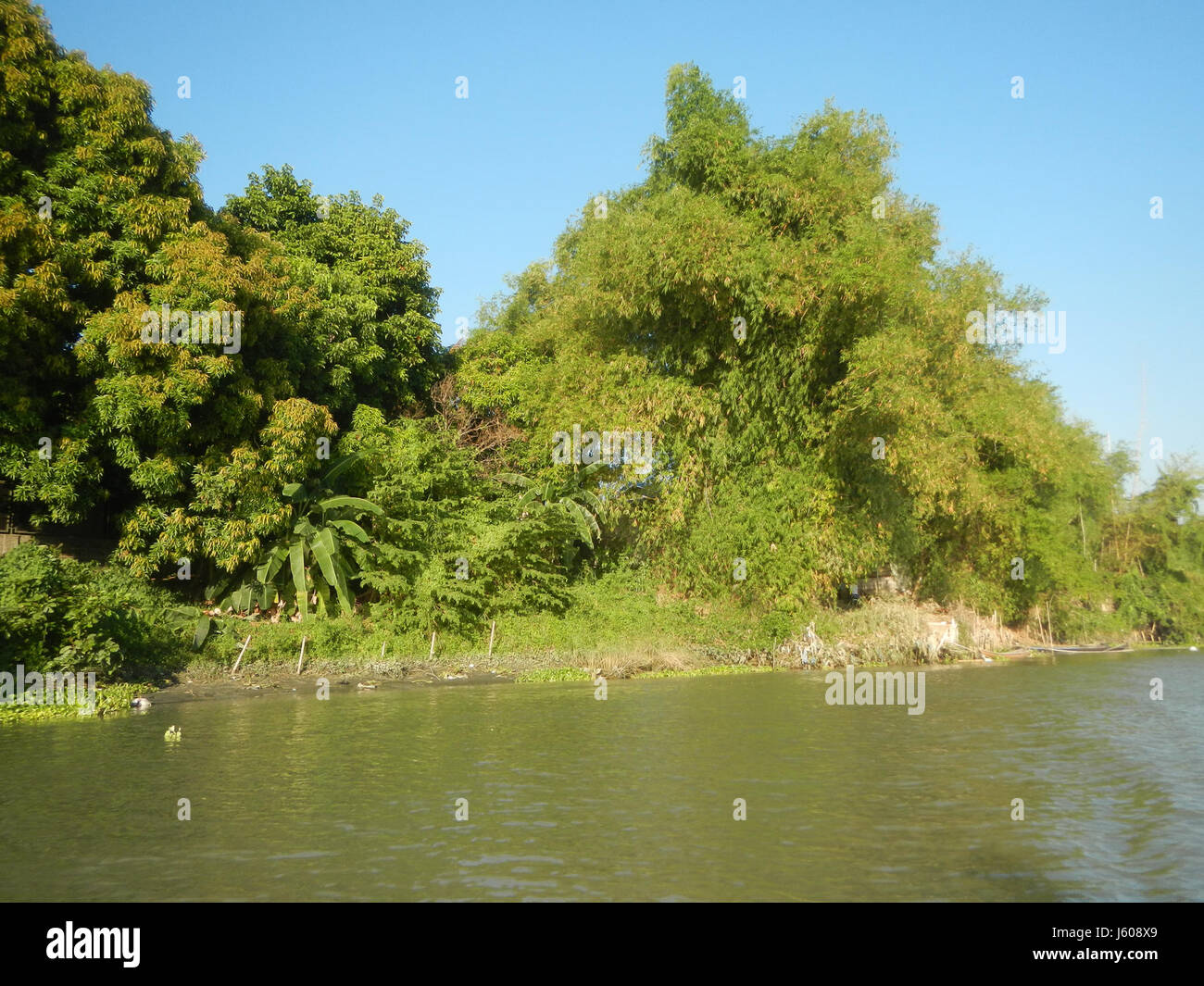 This image captures the scenic riverbanks of Pulilan, Plaridel ...