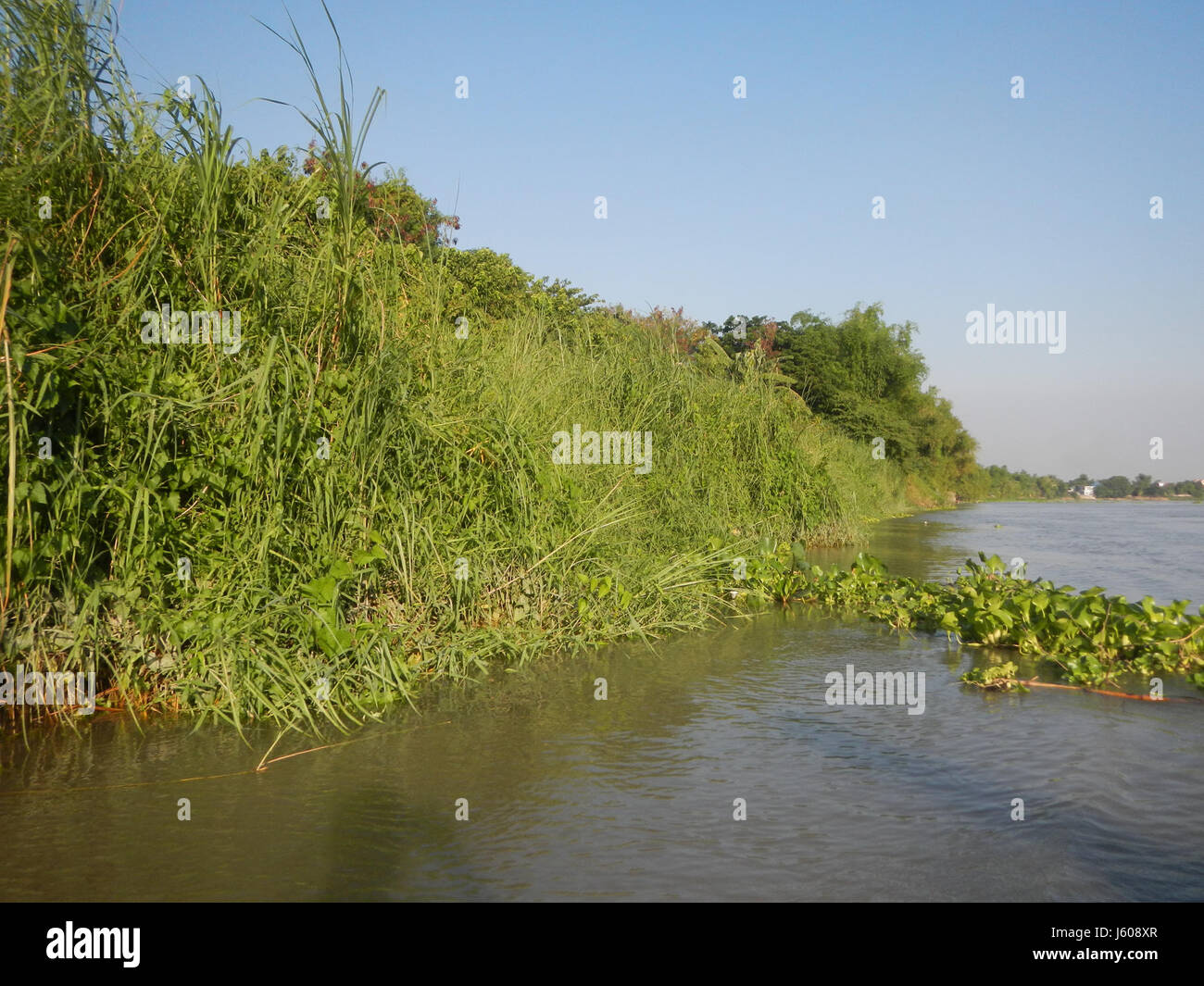 This location in Bulacan, near the Pampanga River banks, connects ...