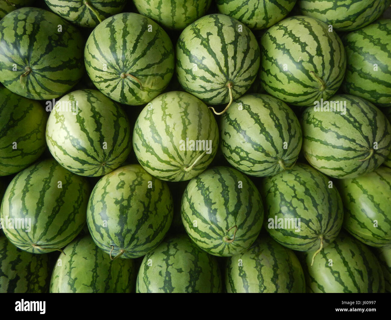 This photograph captures the Queen Formosa pineapple, a variety grown ...