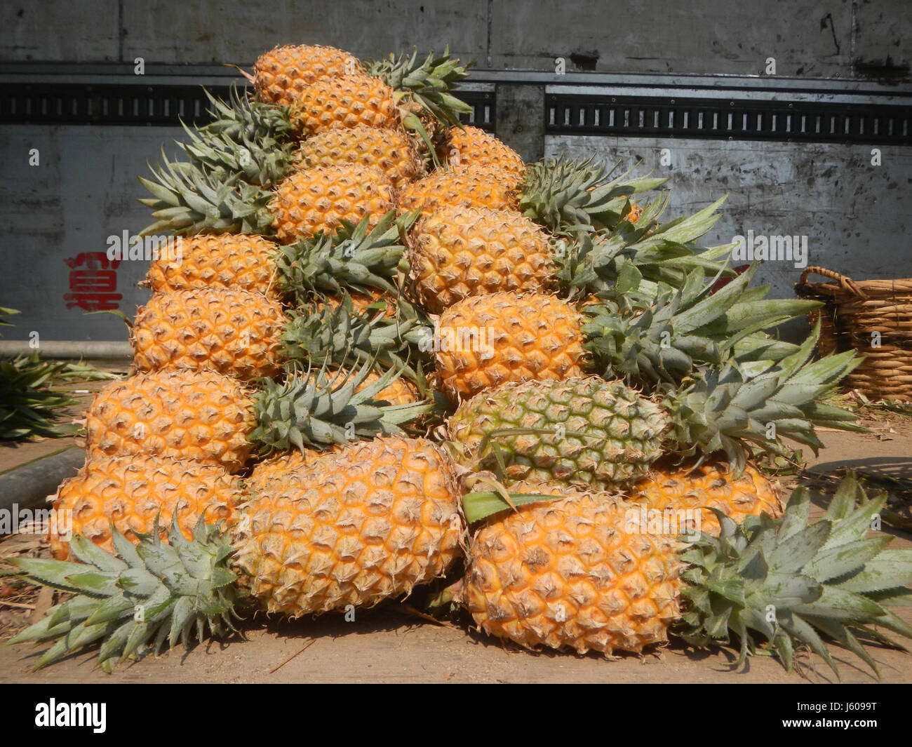 The Queen Formosa pineapple is a unique variety of pineapple grown in ...