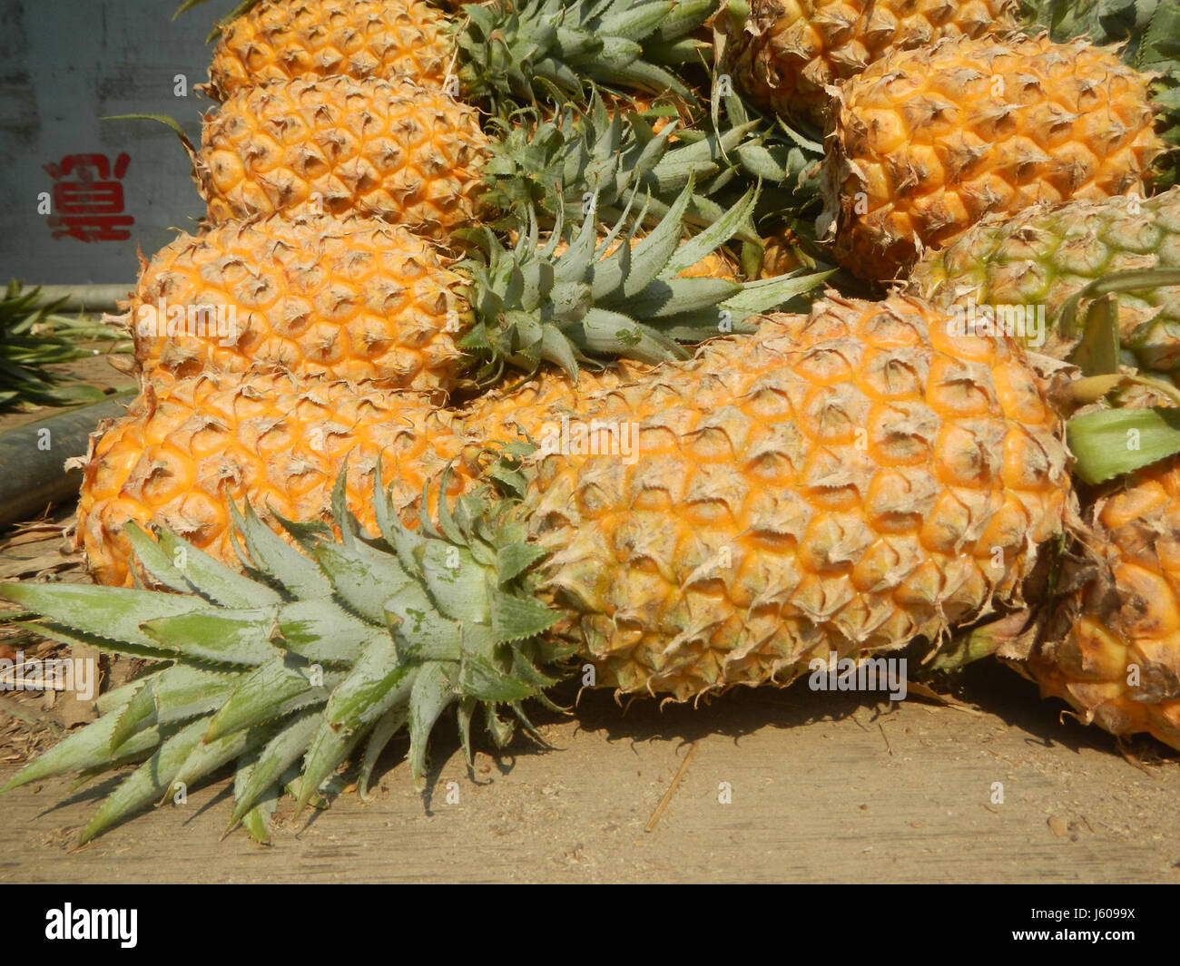 This image depicts the Queen Formosa pineapple, a variety grown in the ...