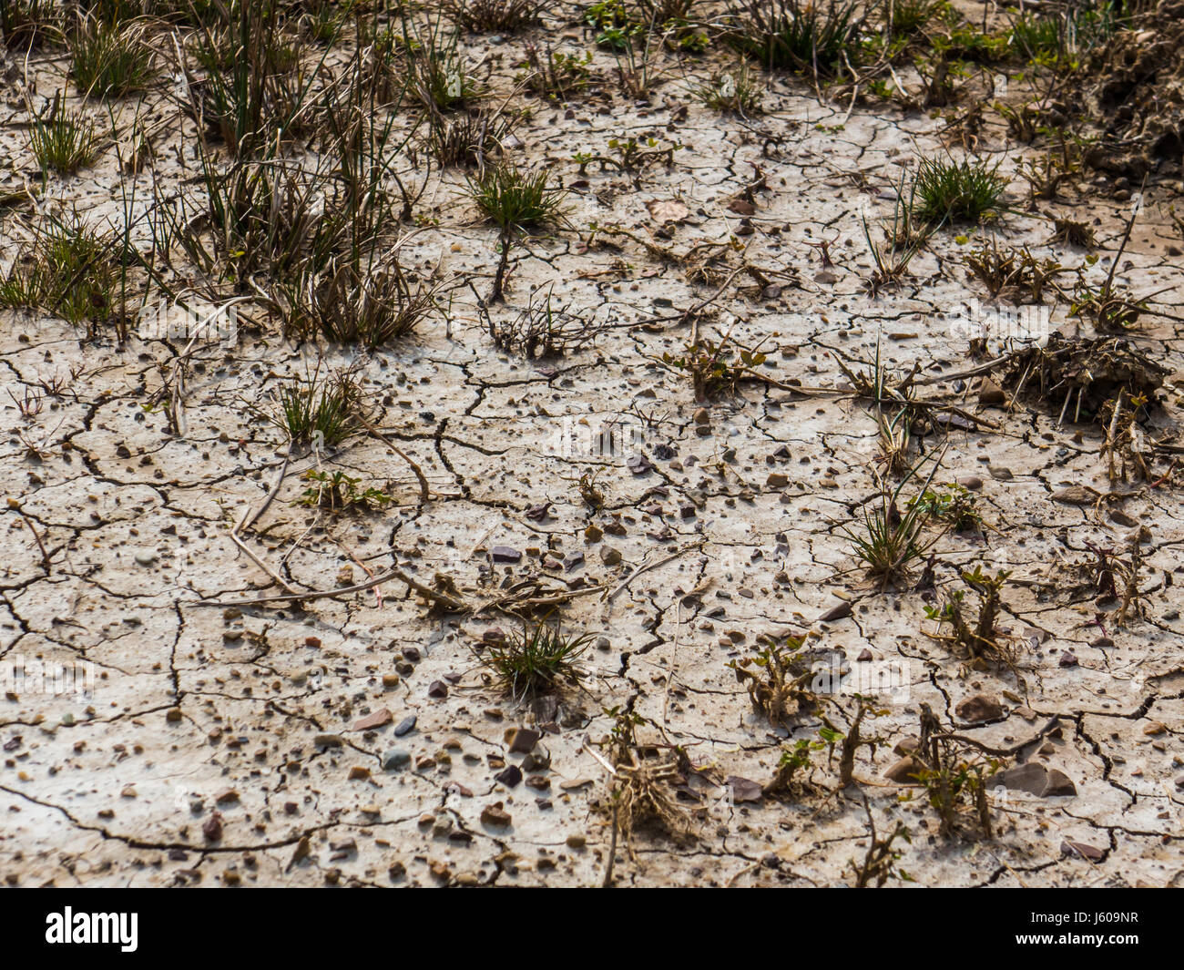 Lack of vegetation hi-res stock photography and images - Alamy