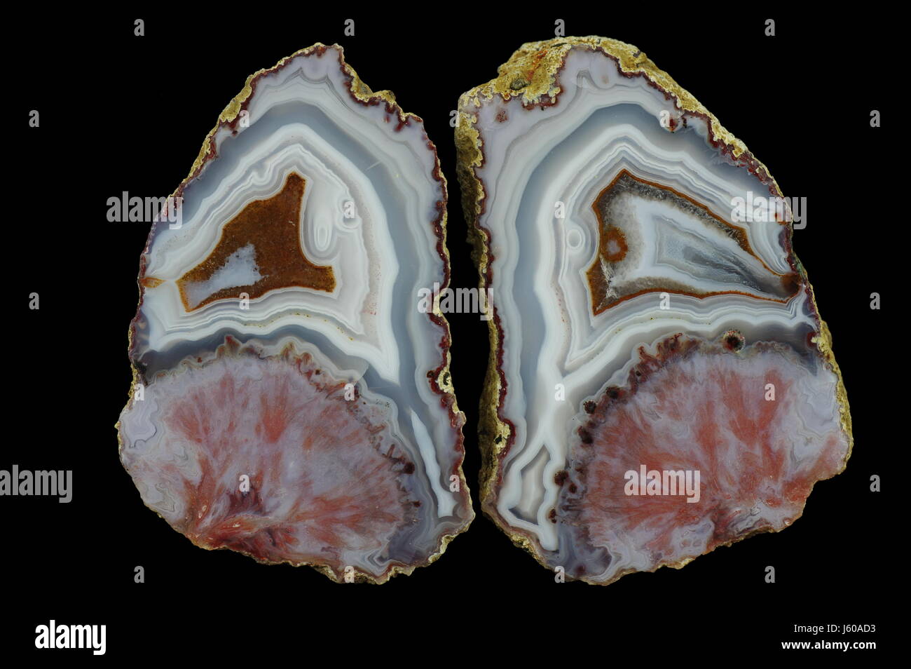 A cross section of the agate stone. At the top is concentric agate, at ...