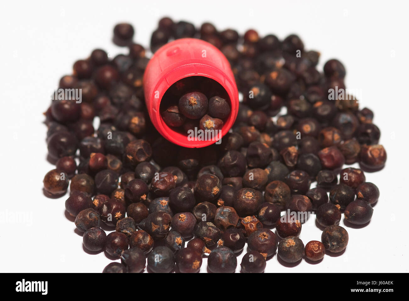 food aliment spice boil cooks boiling cooking juniper bitter juniper ...