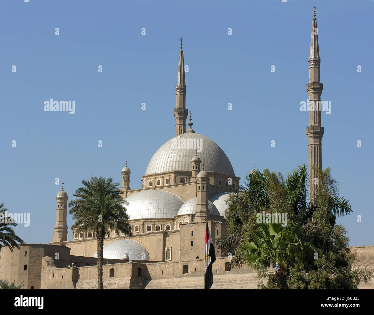 dome cairo egypt islam mosque citadel dome old town palm tree cairo ...