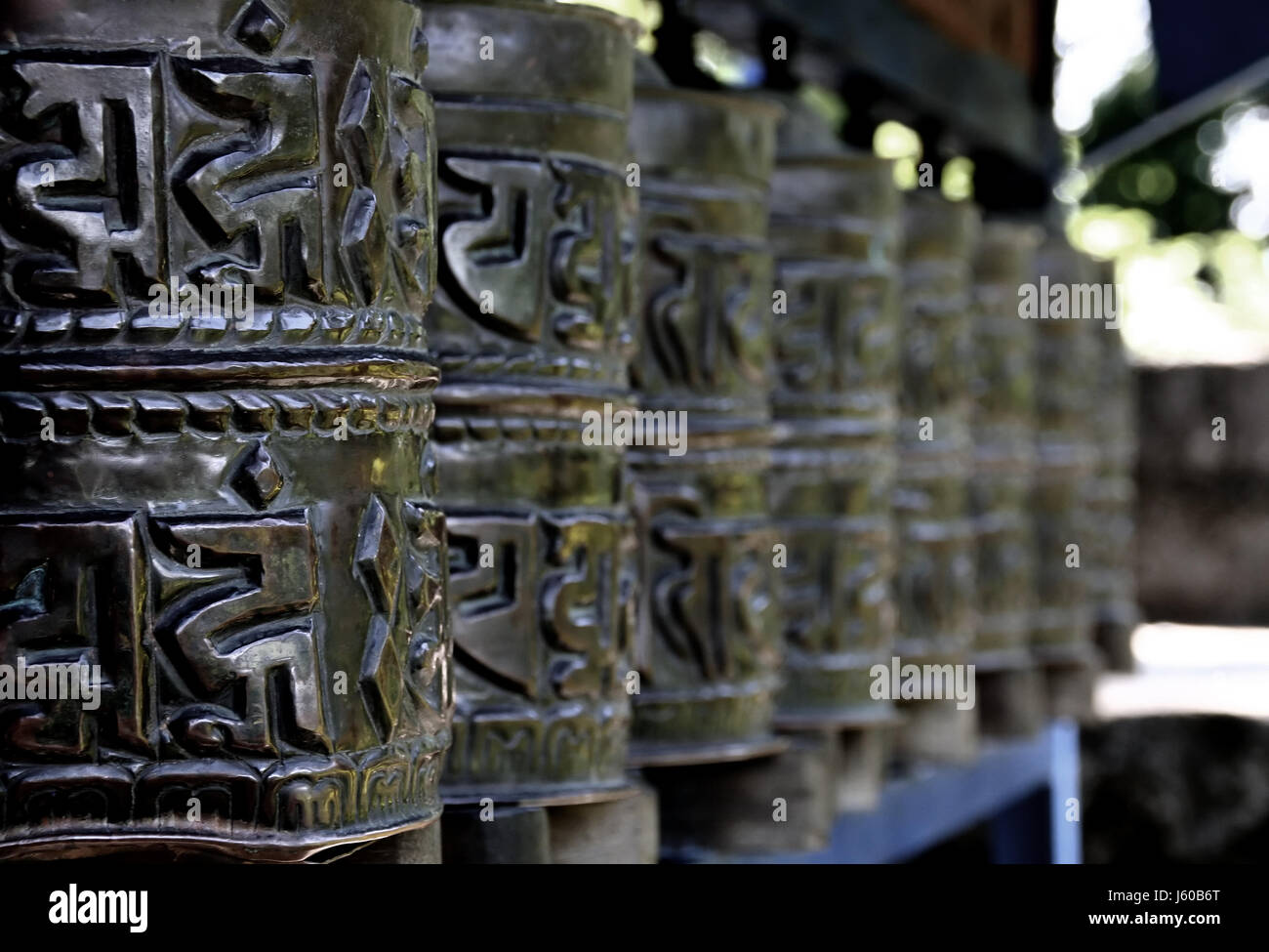 Holy Rollers High Resolution Stock Photography and Images - Alamy