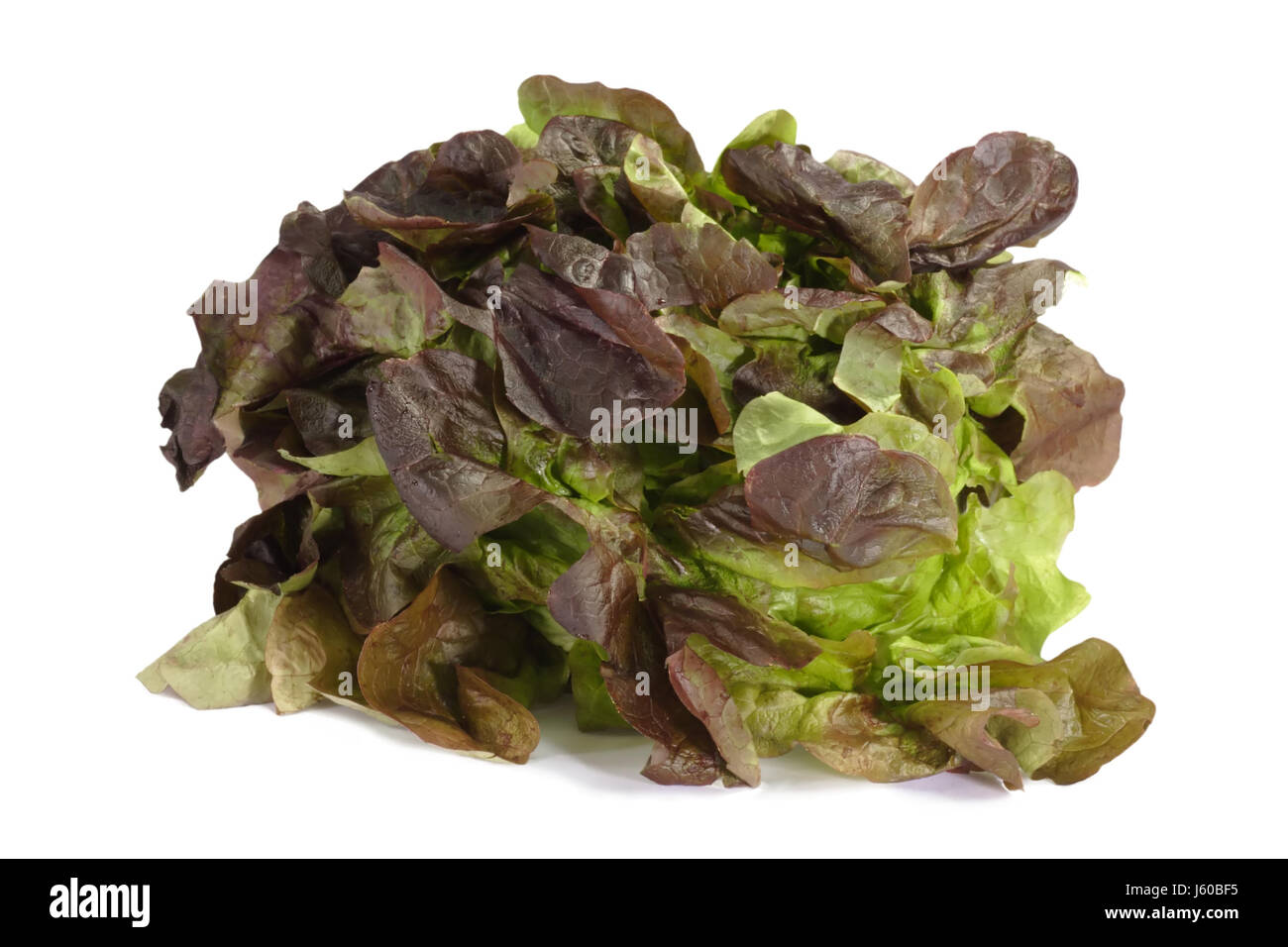 Wunderbar Asia Pflcksalat Rezept Bild