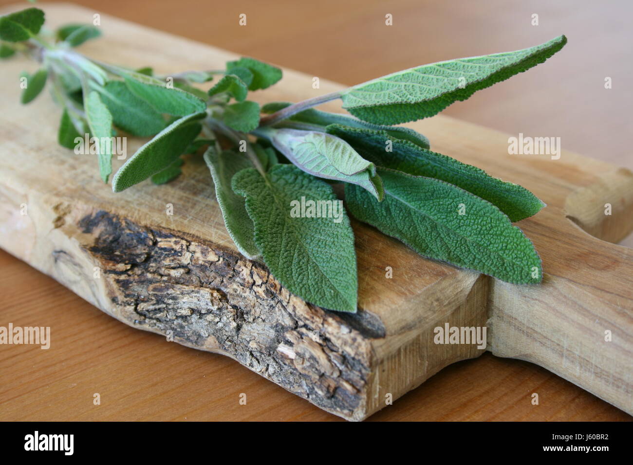 boil cooks boiling cooking sage wooden board carving board herbs boil ...