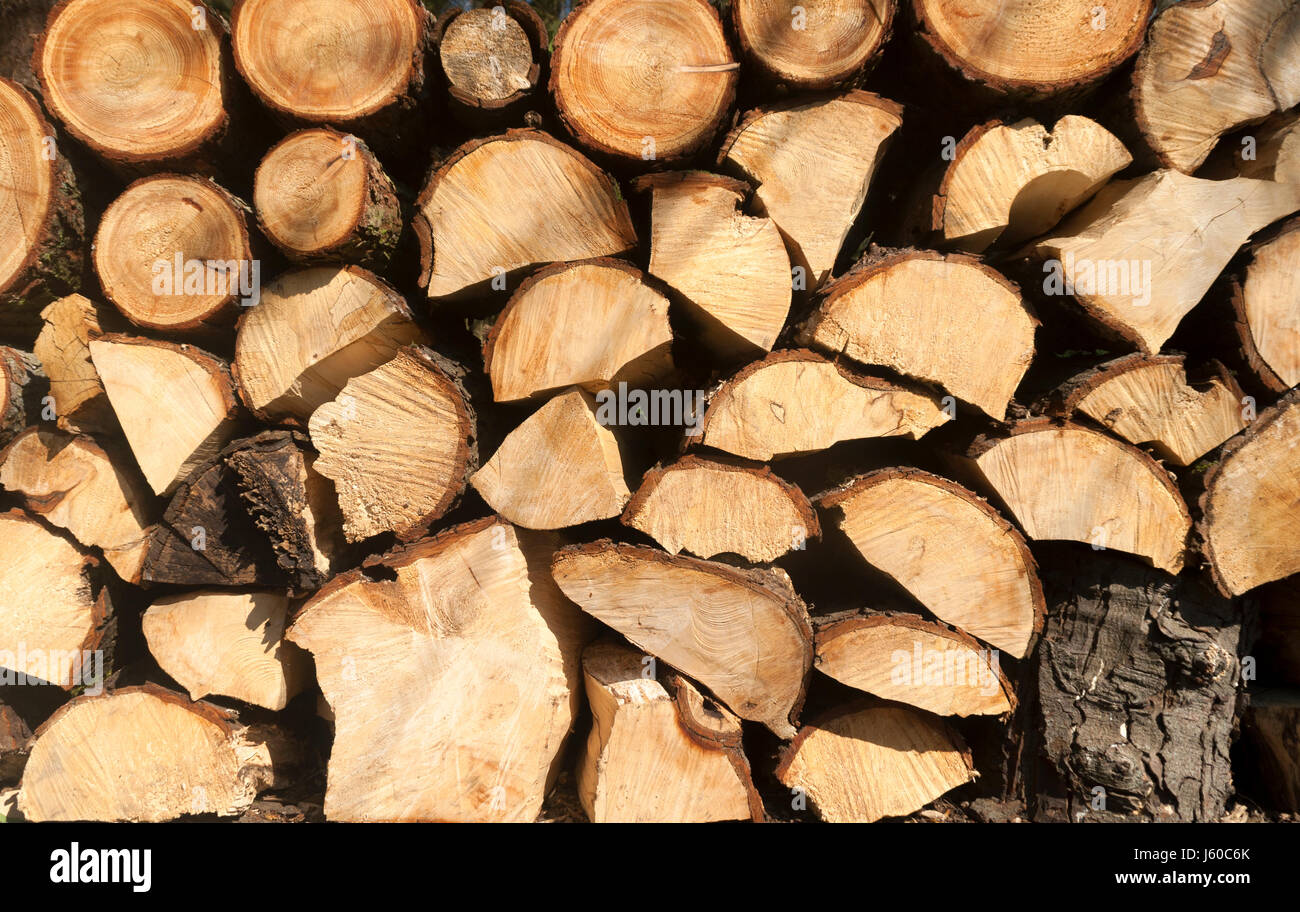 Log pile. A pile of newly cut logs ready for the fire Stock Photo - Alamy