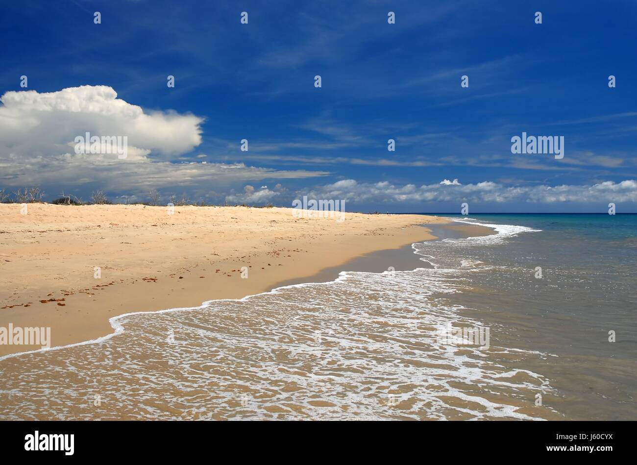 beach seaside the beach seashore summer summerly strand salt water sea ...