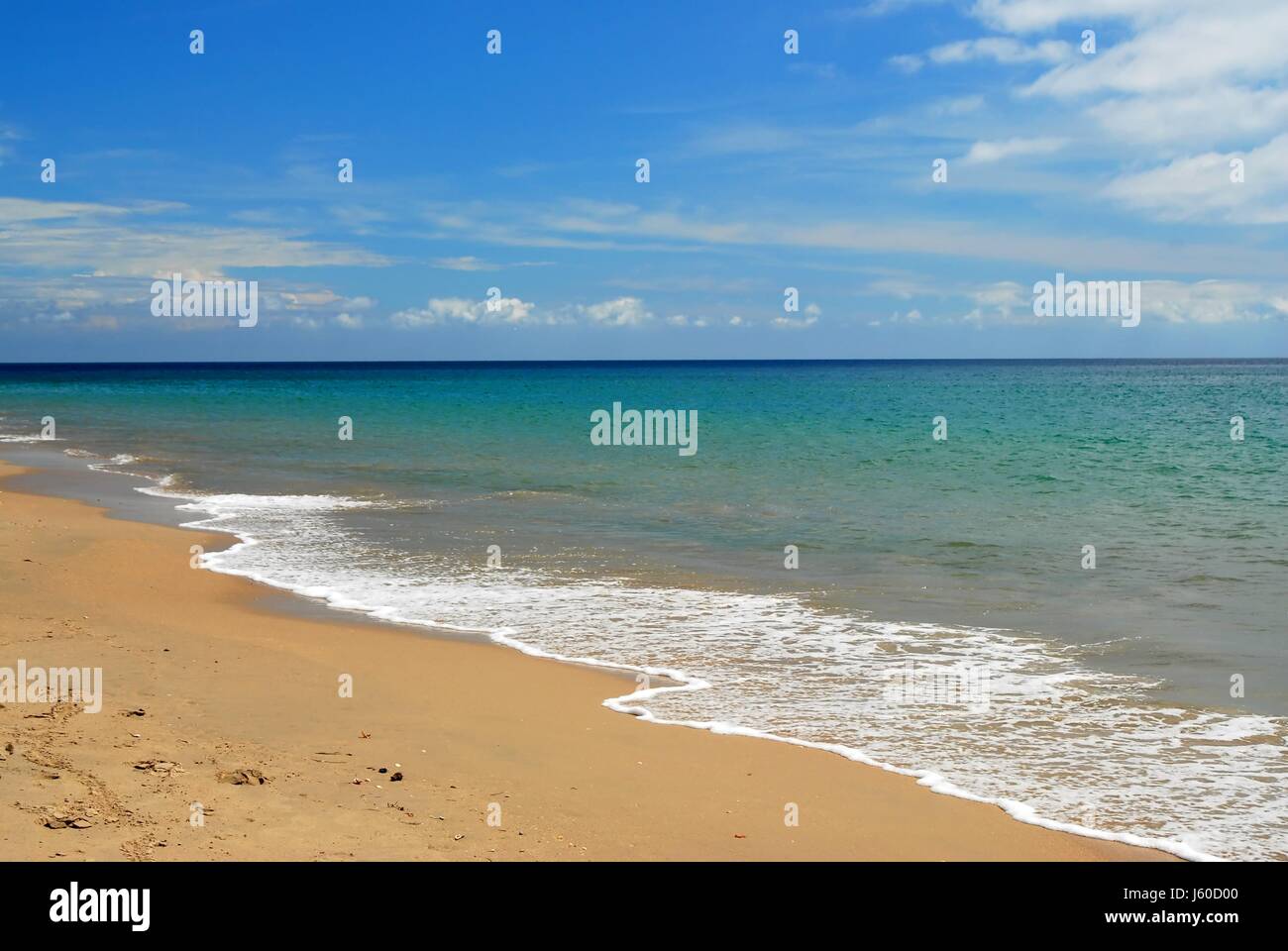 beach seaside the beach seashore summer summerly strand salt water sea ...
