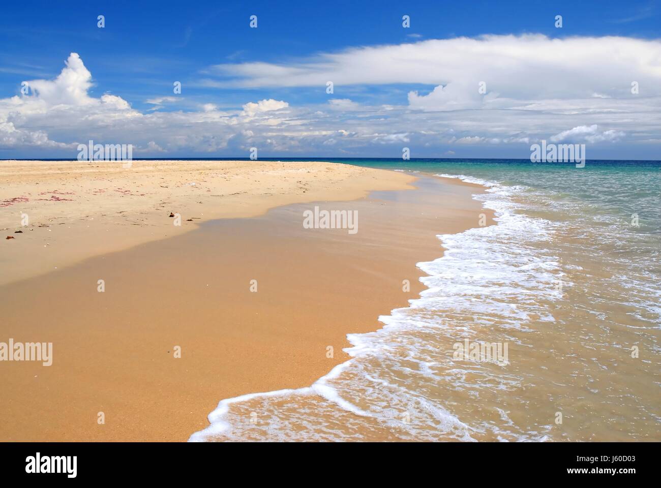beach seaside the beach seashore summer summerly strand salt water sea ...