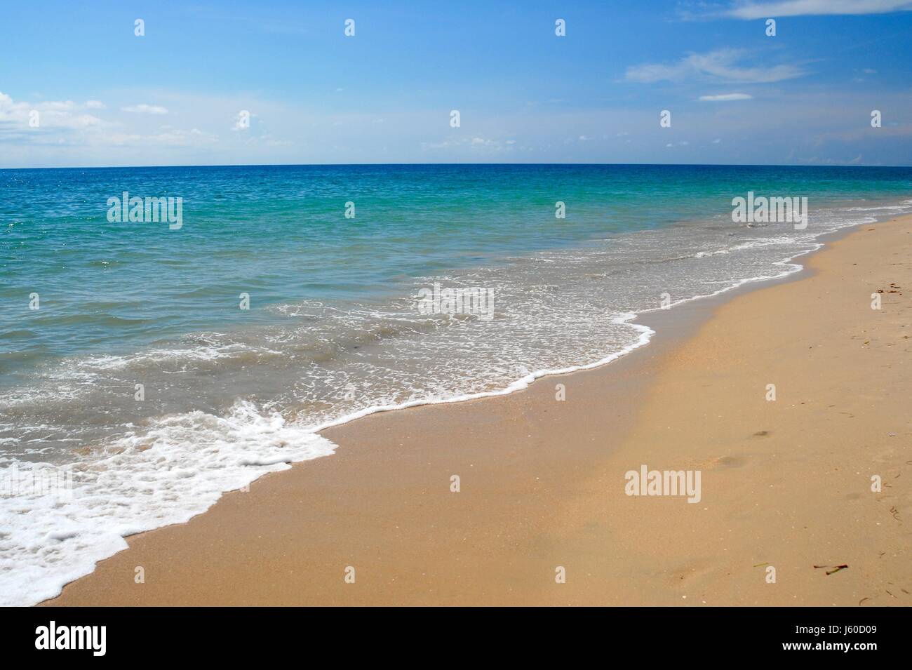 beach seaside the beach seashore summer summerly strand salt water sea ...