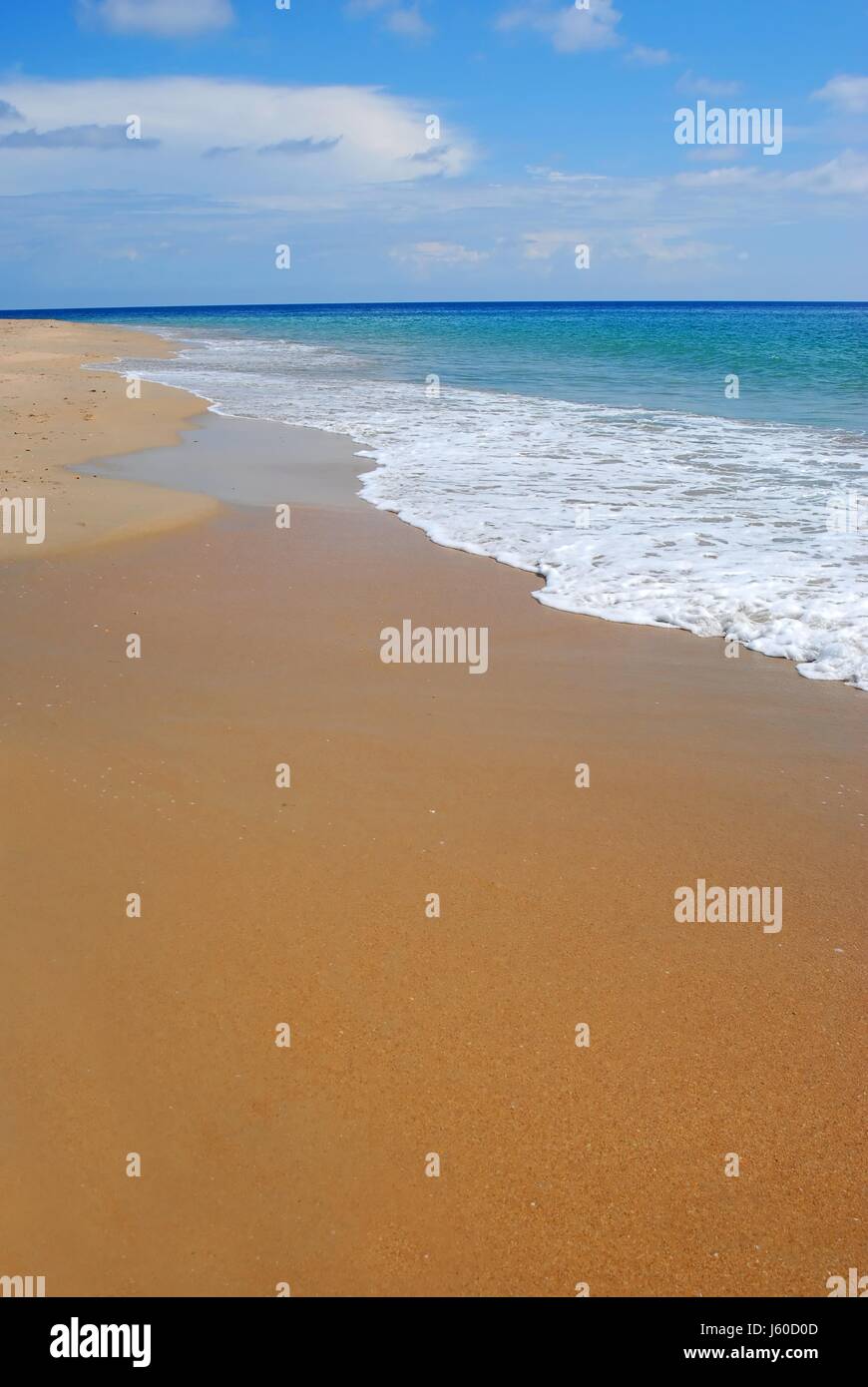 beach seaside the beach seashore summer summerly strand salt water sea ...