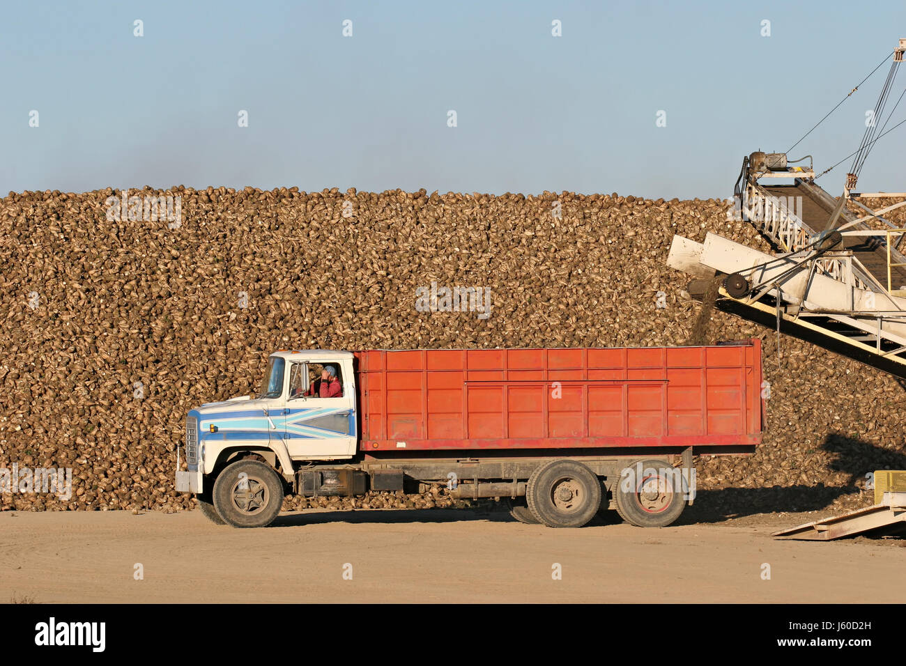 industry agriculture farming transport logistics sugar truck lorry blue ...
