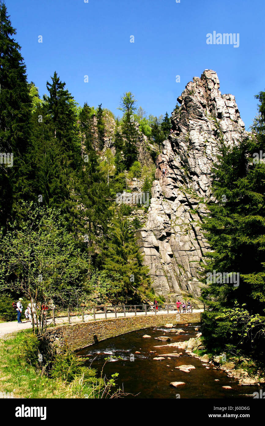 hike go hiking ramble erz-mountains river water migrate tree trees ...