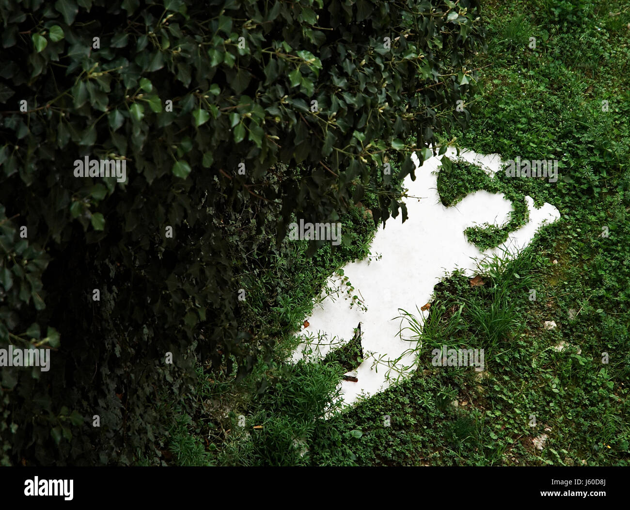 Crime murder hi-res stock photography and images - Alamy