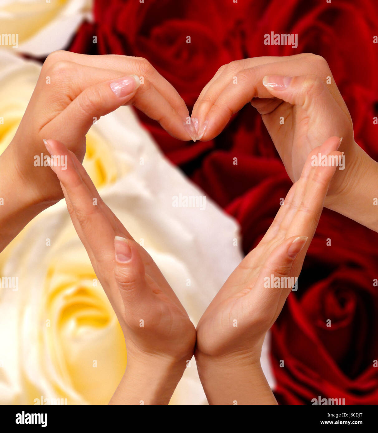 hand hands model design project concept plan draft romantic sign love ...