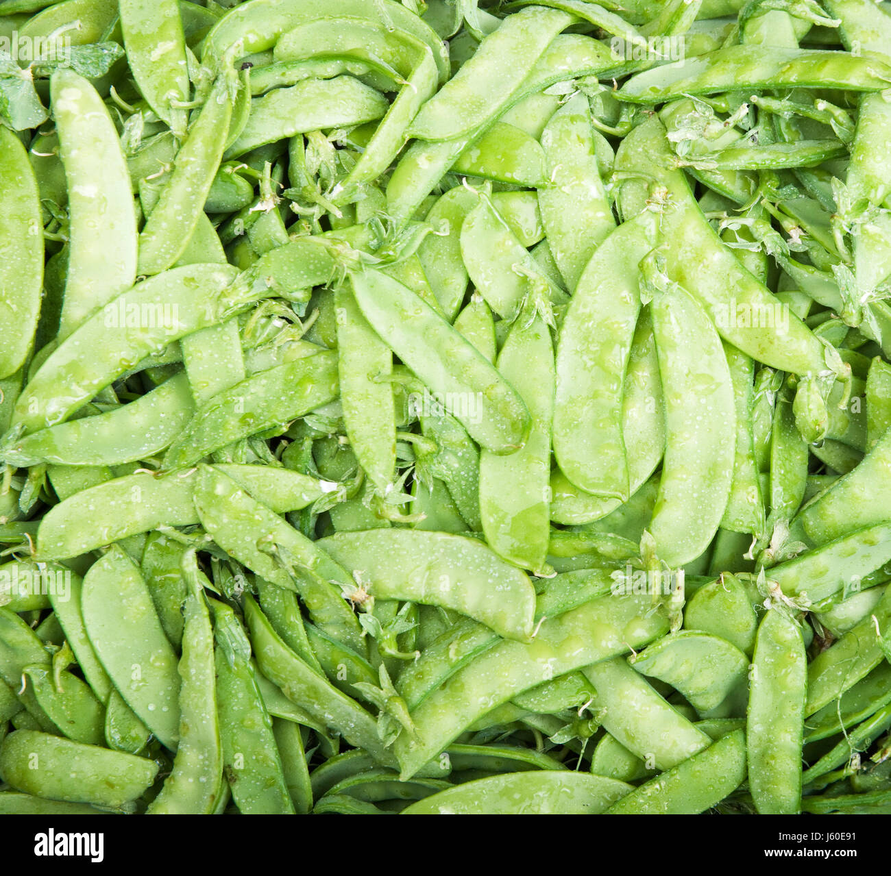 vegetable snap seed pod tasty organic pea healthy food aliment green ...