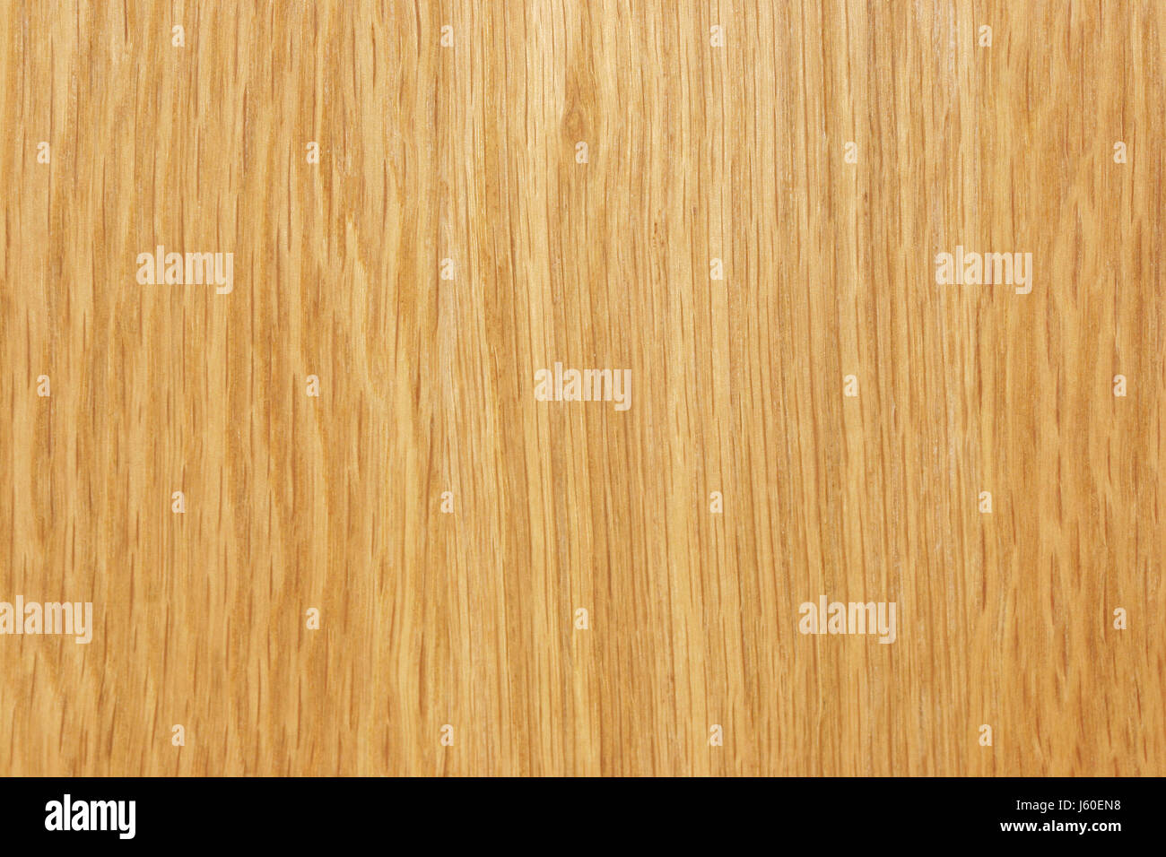 wood surface birch wooden panel width of material backdrop background ...