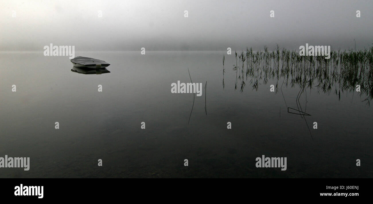 in the morning i am see Stock Photo - Alamy