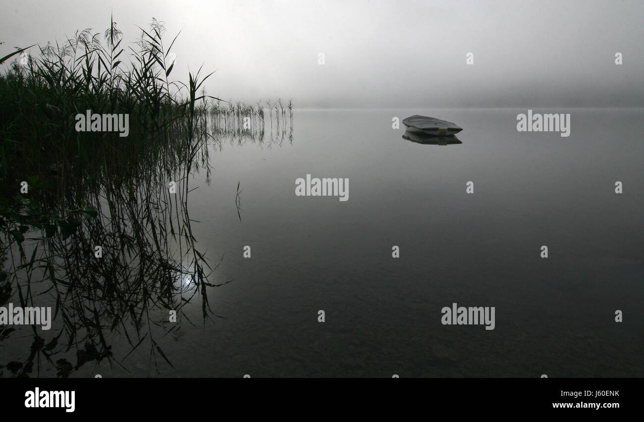 austrians in the morning lower austria salt water sea ocean water ...