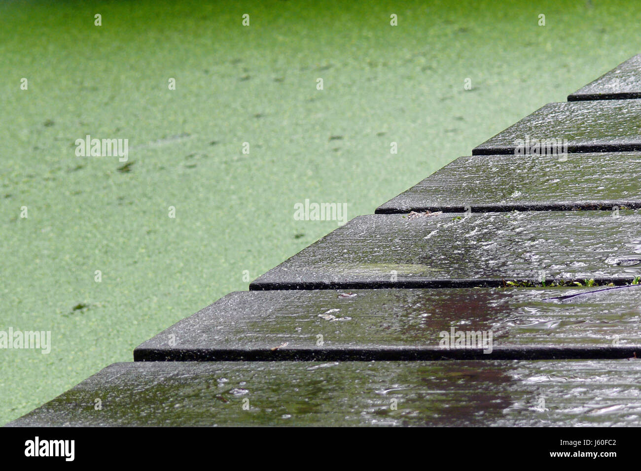 Slippery wood path garden hi-res stock photography and images - Alamy