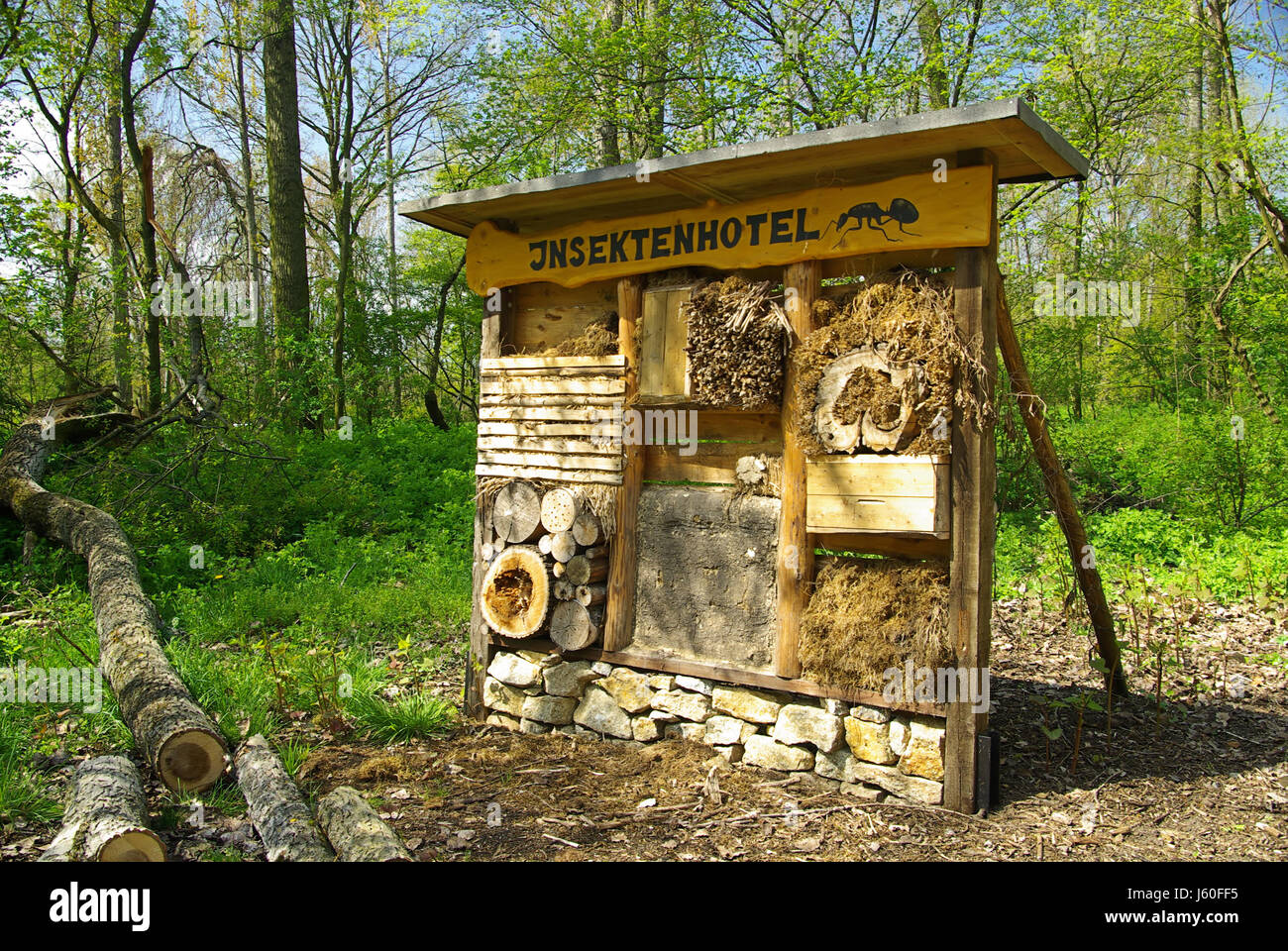 insect wood conservation of nature meadow forest nature house building ...