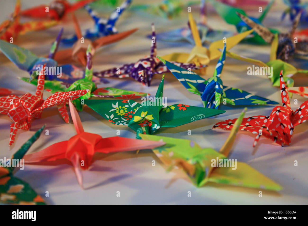 coloured colourful gorgeous multifarious richly coloured crane accuracy ...