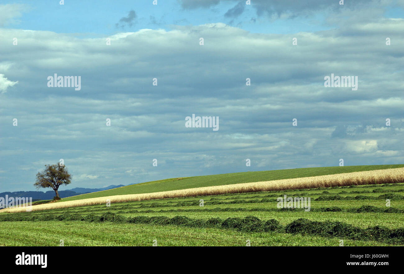 lines in the landscape Stock Photo - Alamy
